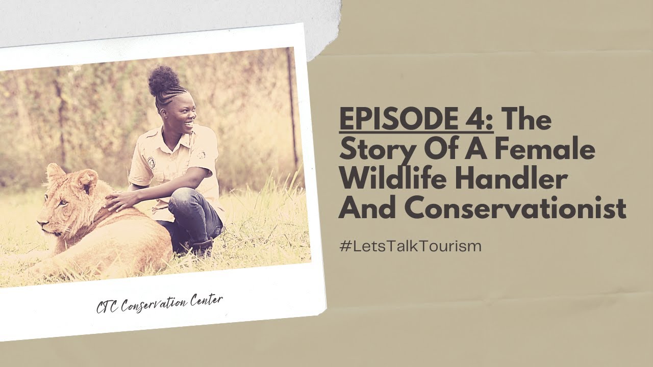Let's Talk Tourism Episode 4: Holly Olive Akello A Wildlife Handler And ...