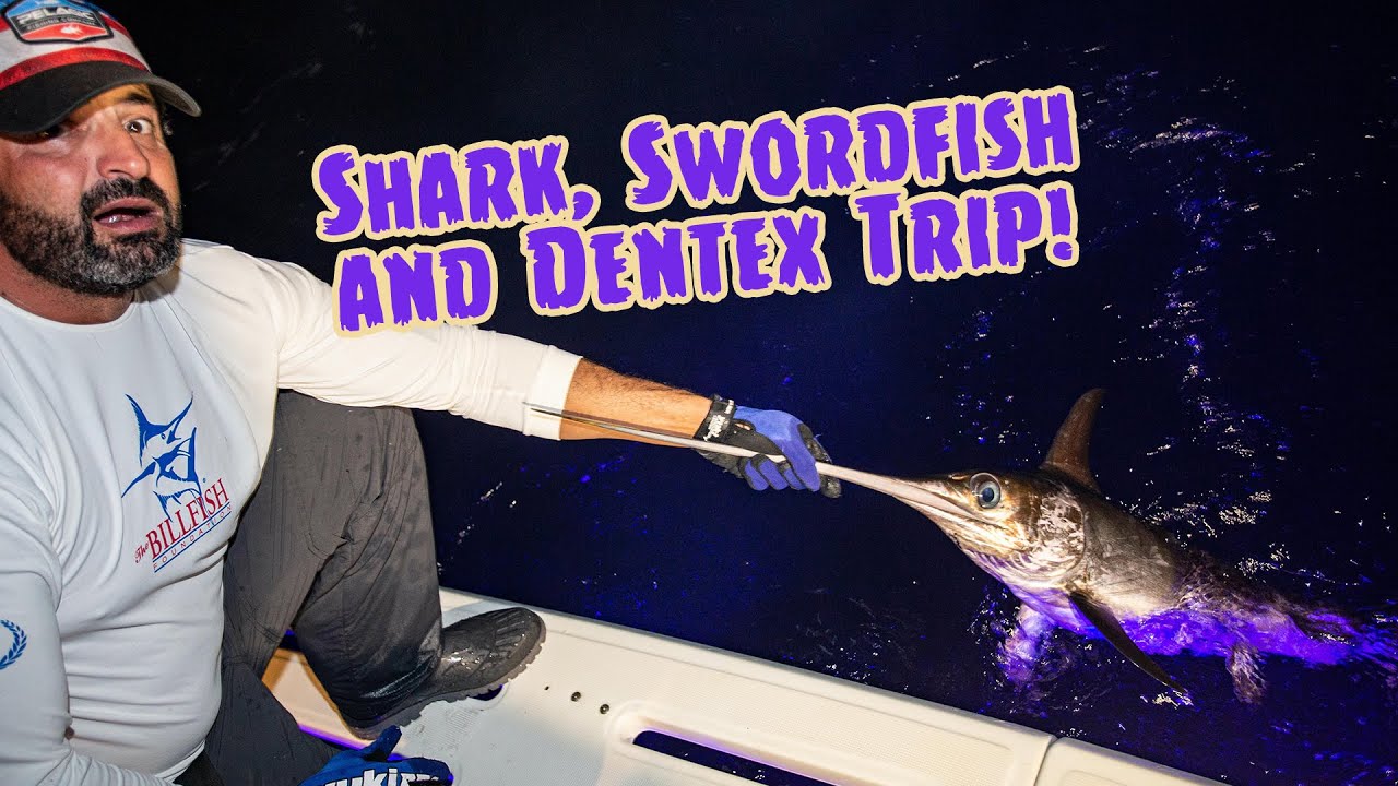 Catching fish equipped with huge weapons!! - YouTube