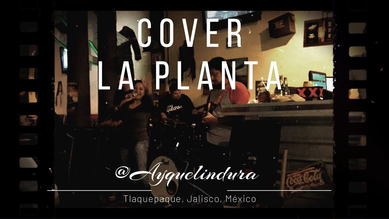 🎶 LA PLANTA | COVER - YouTube