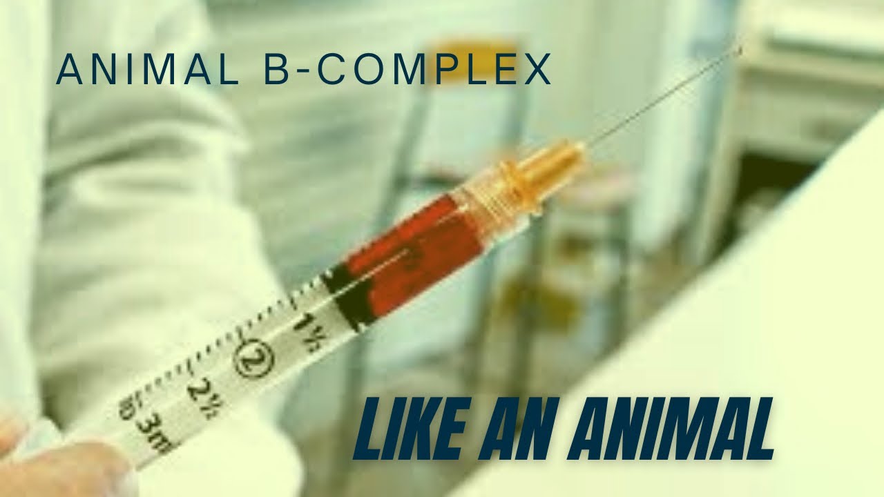 Animal B complex - YouTube