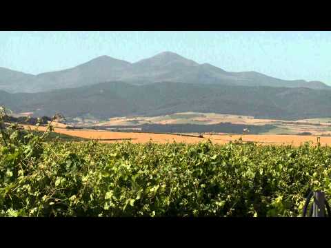 Cune Reserva, the history of the wine