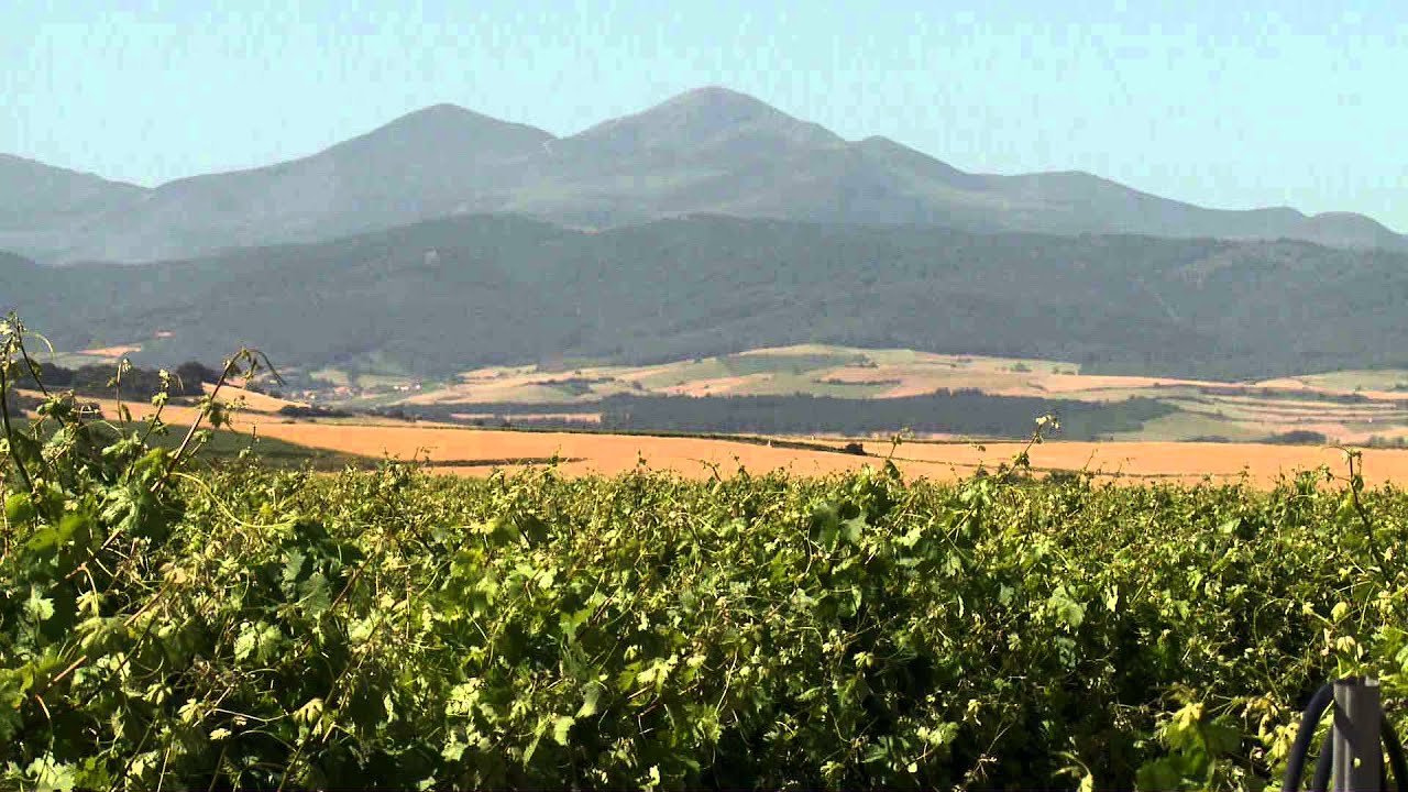 Cune Reserva, the history of the wine - YouTube