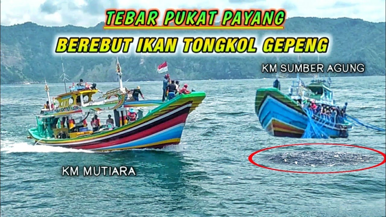 NELAYAN PUGER TEBAR JARING PUKAT PAYANG || BEREBUT IKAN TONGKOL - YouTube