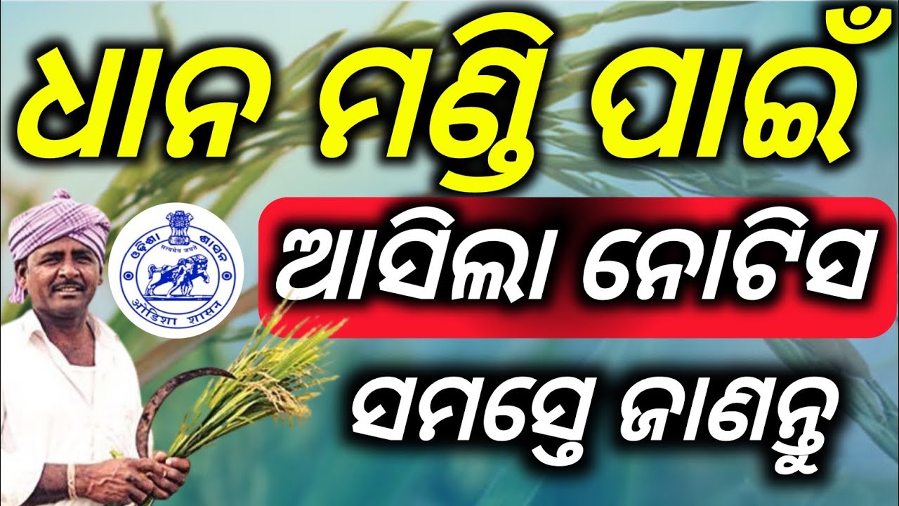 dhan mandi/ଧାନ ମଣ୍ଡି ପାଇଁ ଆଜିର ଖବର ସମସ୍ତେ ଜାଣନ୍ତୁ/odisha dhan mandi ...