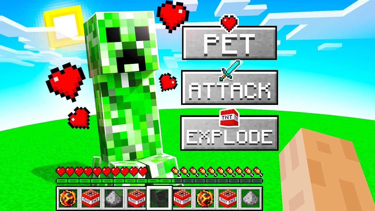 Minecraft Friendly Creeper