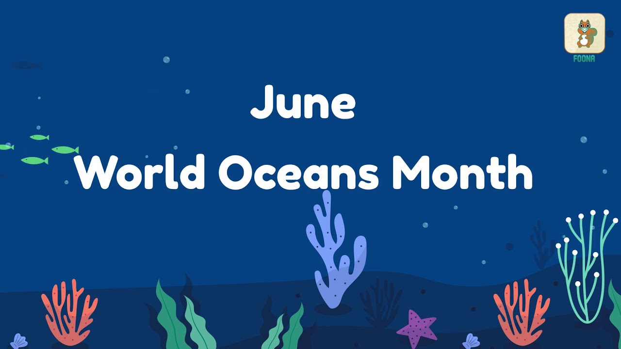 Why are oceans important? Let’s dive into one to find out. || World ...