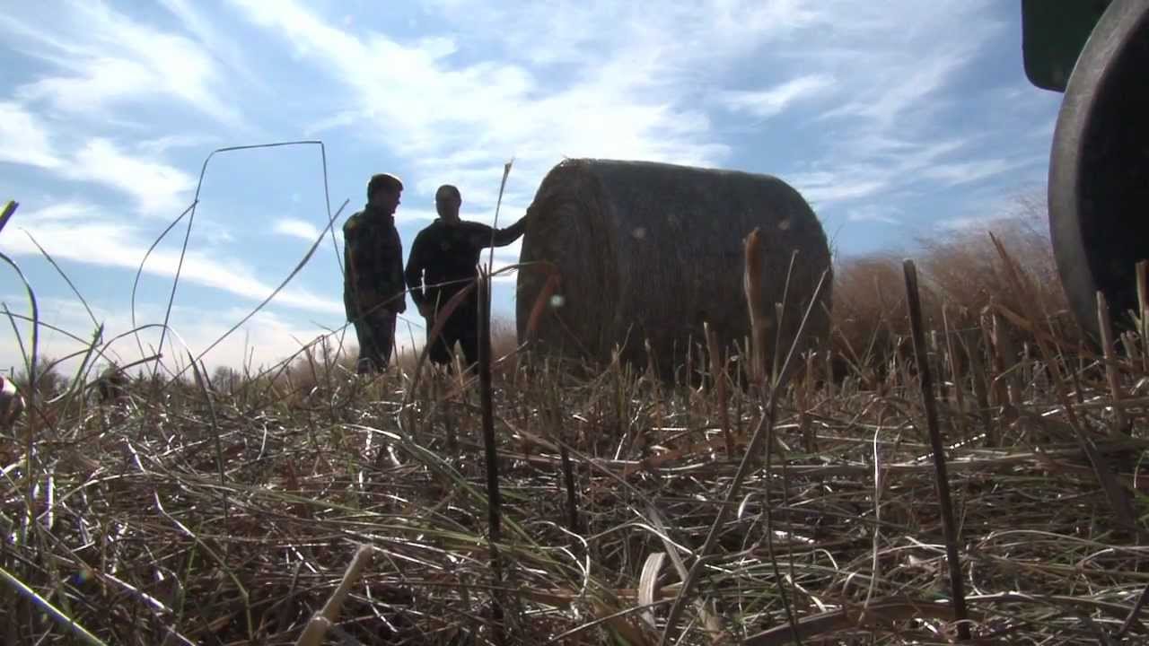 Harvesting a Native Grass for Biofuel Production - YouTube
