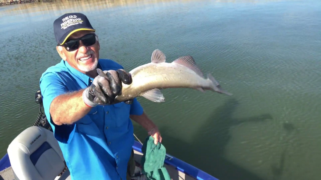 Catfishing With Carson And The Old Fisherman - YouTube