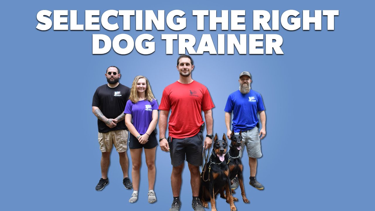 Considerations in Selecting Professional Dog Trainers - PTP #37 - YouTube