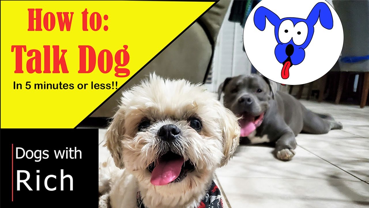 S1 - E1: Doggie Lingo - How to speak “dog” and better your ...