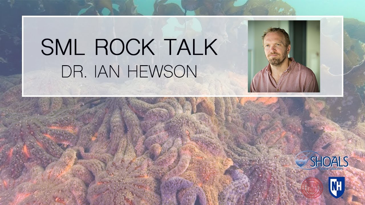 SML "Rock Talk" Seminar Series: Dr. Ian Hewson - YouTube