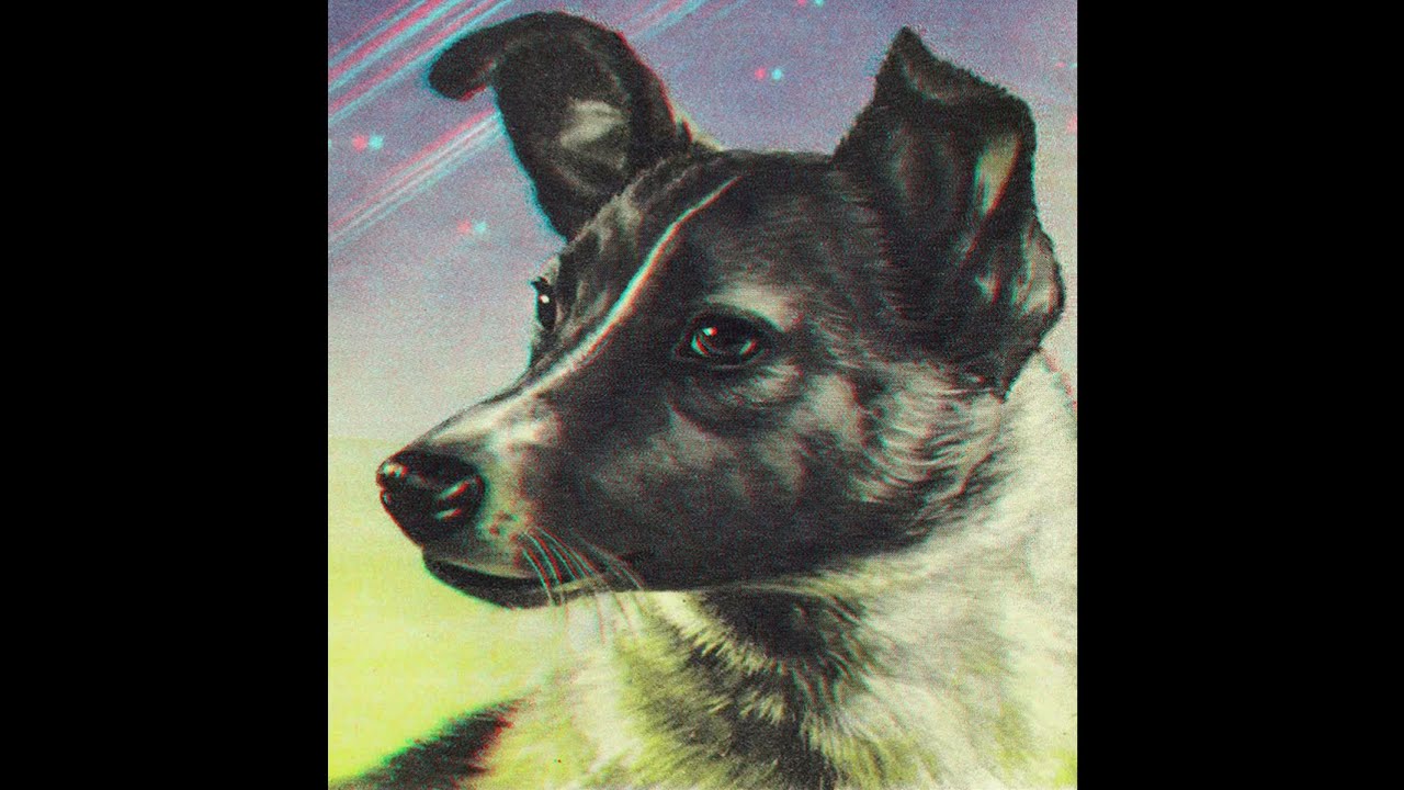 70 Dogs in Space 3-D 1080p - YouTube