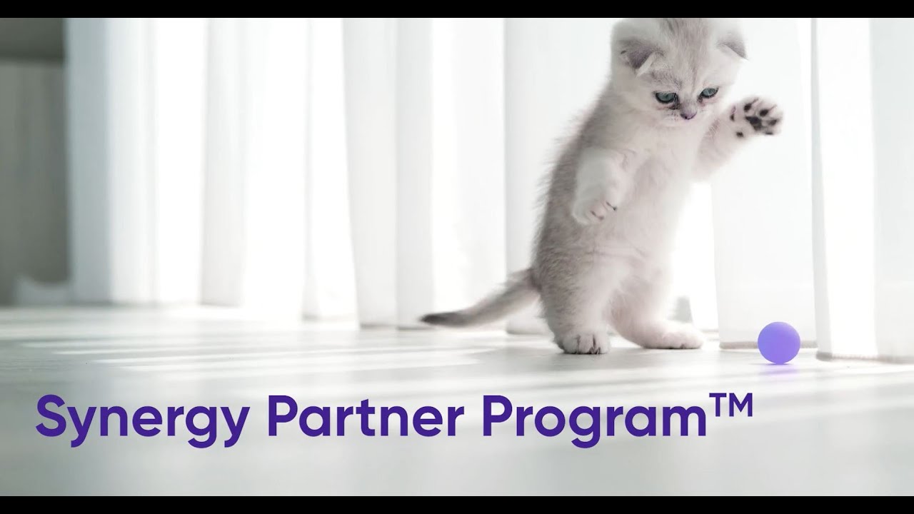 Synergy Partner Program Overview - YouTube