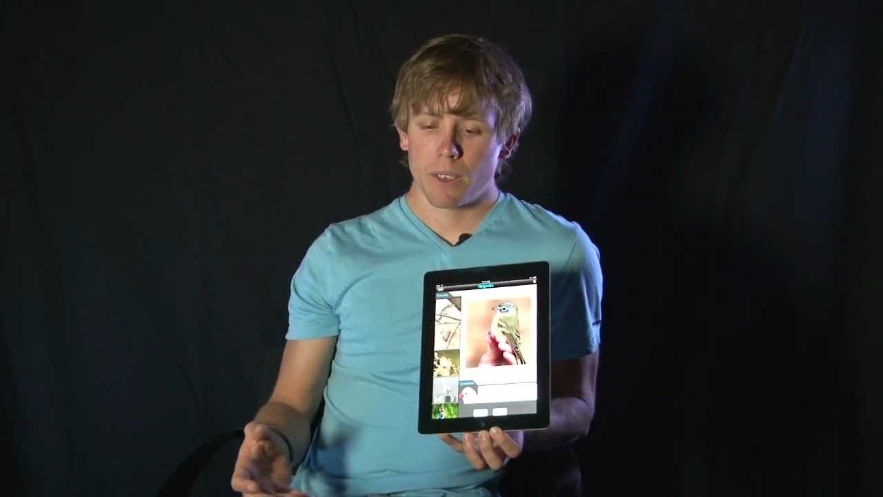Visipedia: An Interactive Field Guide for Birders - YouTube