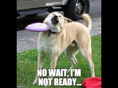 we are not ready pt.2 (Ready or Not) - YouTube