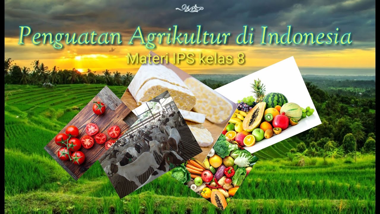 Materi IPS Kelas 8: Penguatan Agrikultur di Indonesia - YouTube