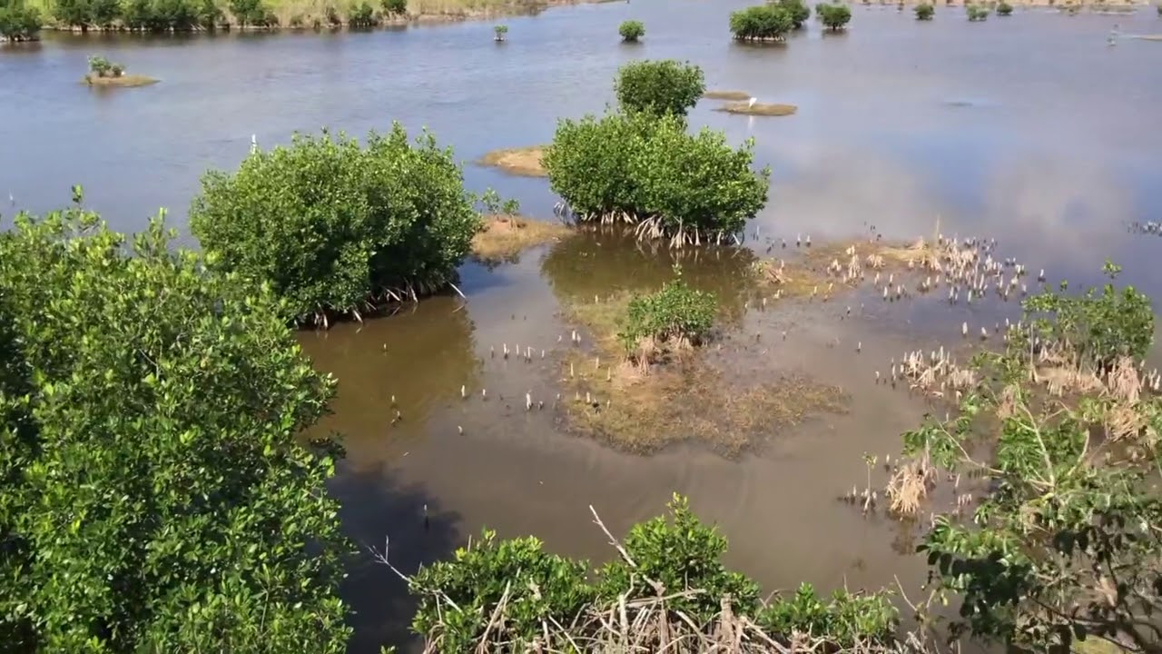 Exploring Ten Thousand Islands National Wildlife Refuge in Collier ...