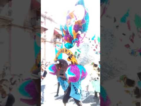 Torito EL TODAS MÍAS \
