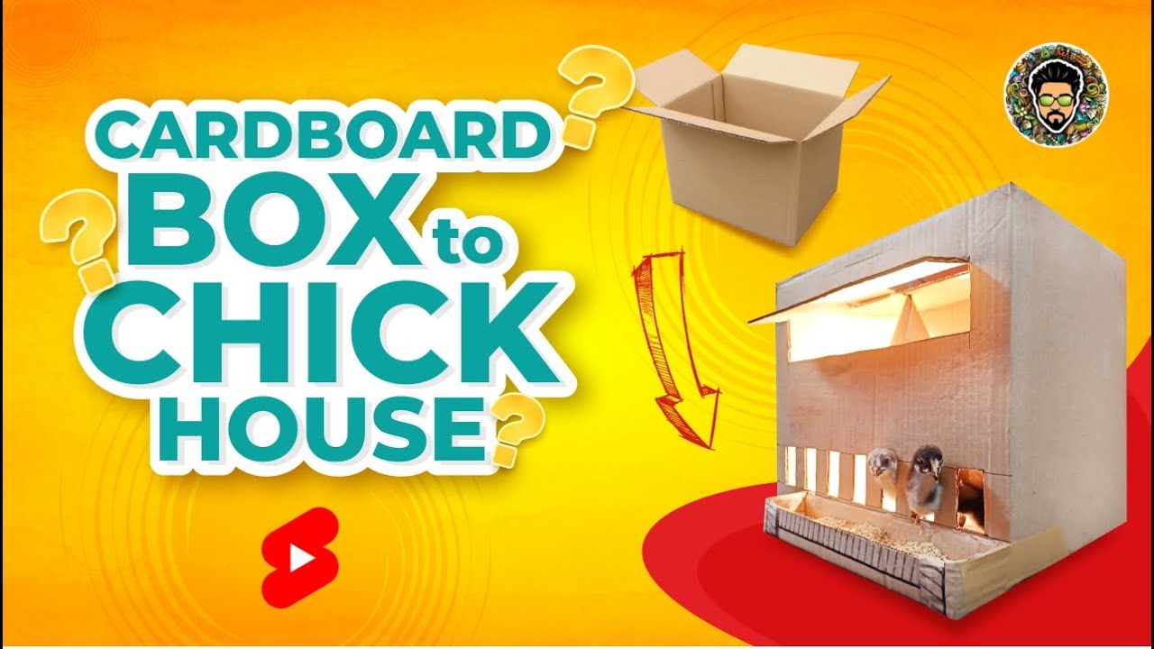 Cardboard Chick Boxes