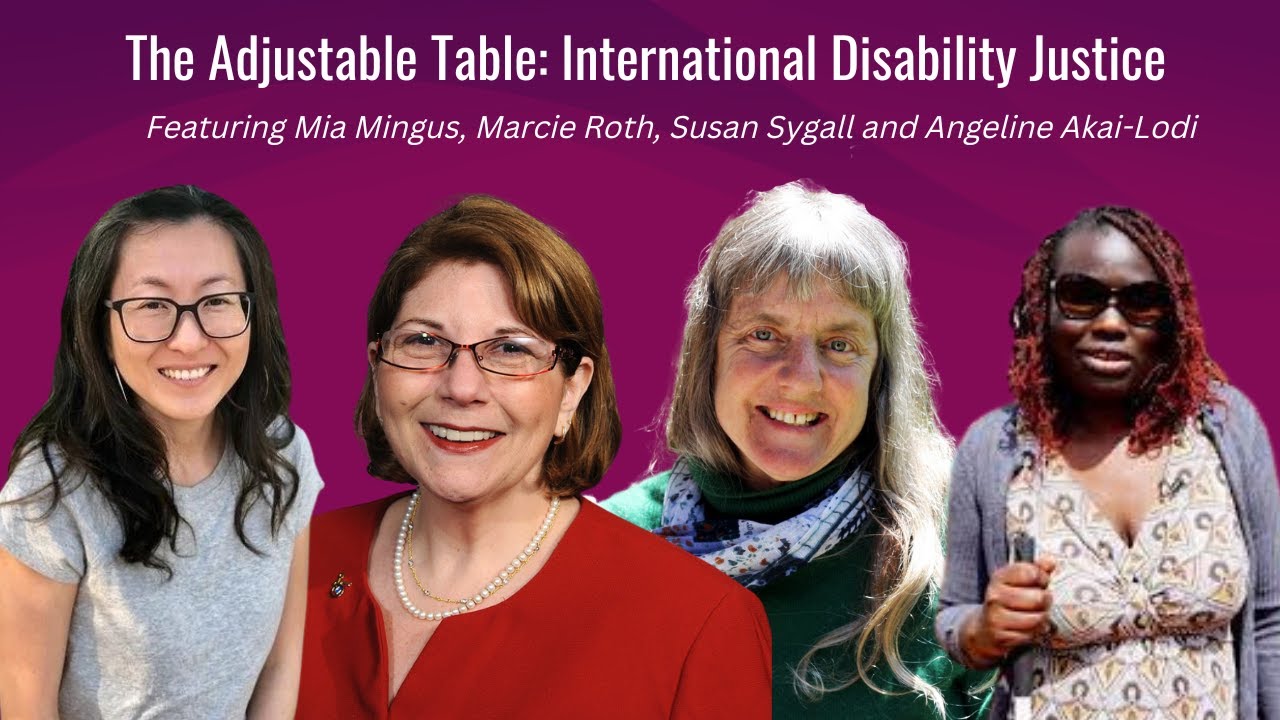 International Disability Justice | Mia Mingus, Marcie Roth, Susan ...