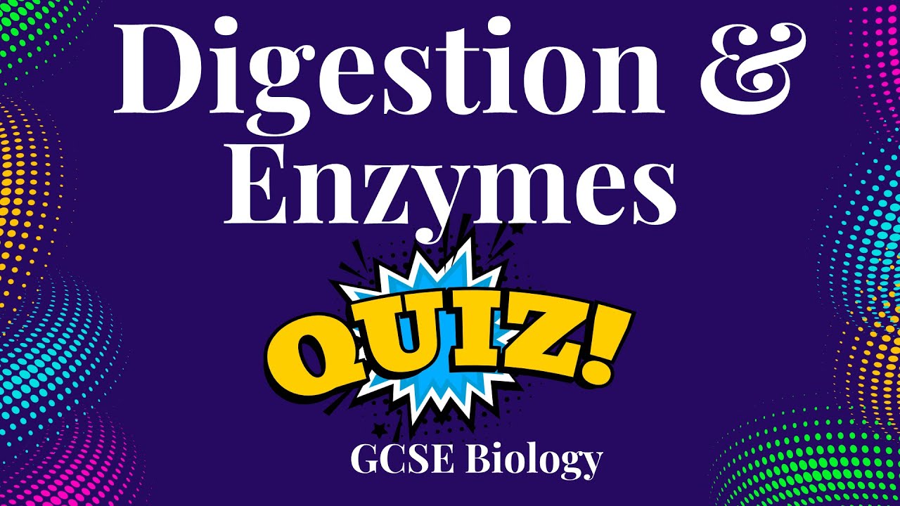 GCSE BIOLOGY QUIZ /Digestion/ Enzymes/ GCSE Biology 9-1/ Organisation ...