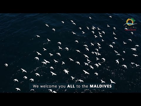 See you in July #visitmaldives - YouTube