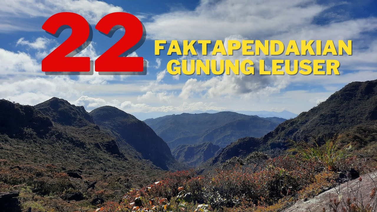 Fakta-Fakta Menarik Pendakian Gunung Leuser - YouTube