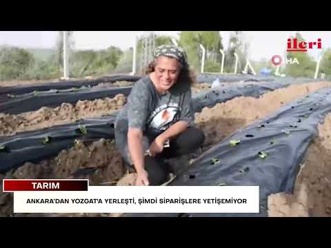 Ankara’dan Yozgat'a yerleşti, şimdi siparişlere yetişemiyor! | İleri Gazetesi