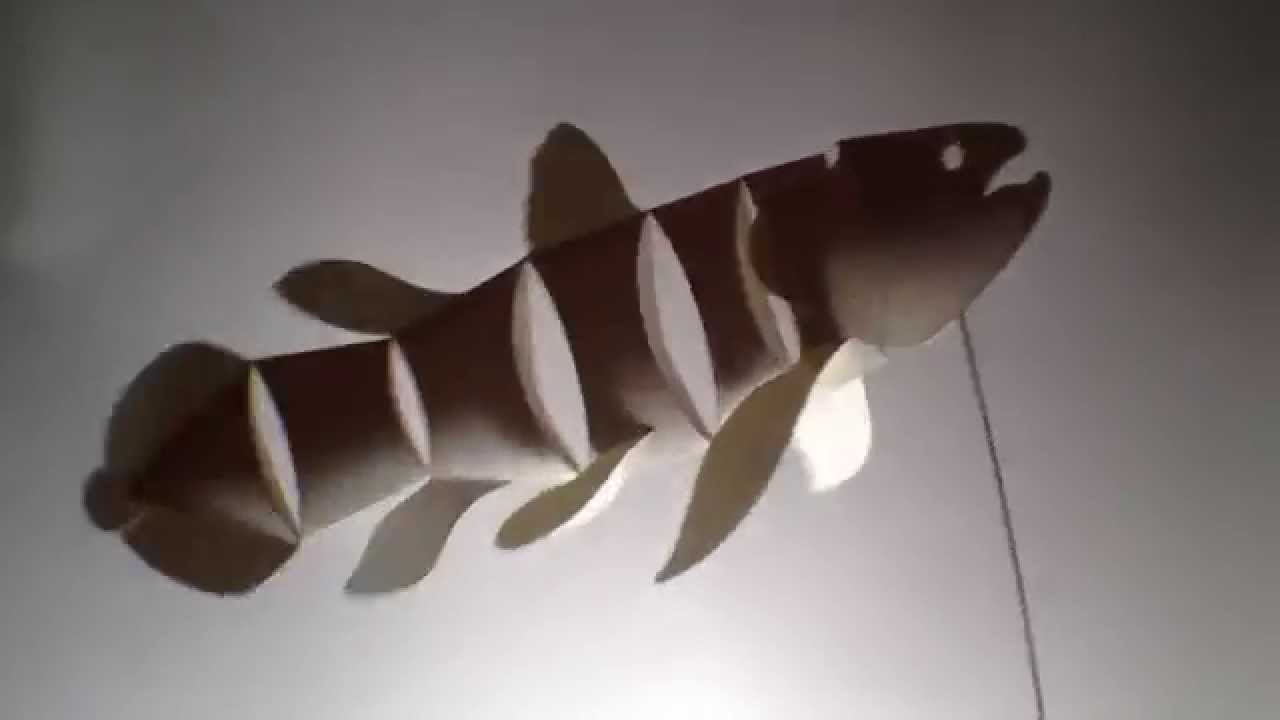 Paper Coelacanth / 紙のシーラカンス - YouTube