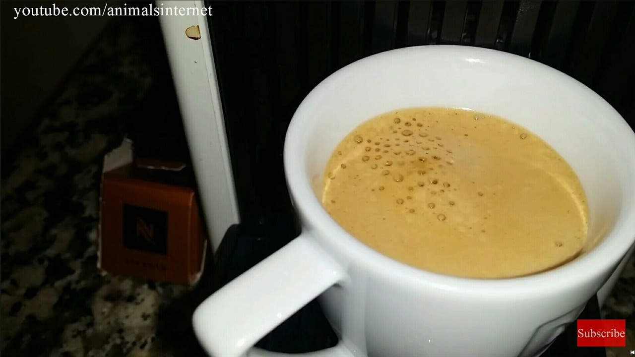 Nespresso Livanto gourmet coffee capsules on Krups (& Delonghi) Inissia ...