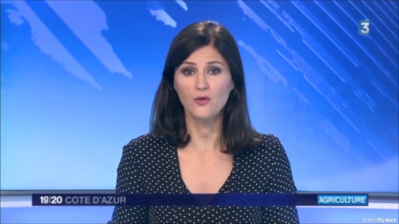 Reportage LCDS FR3 Nice Côte d'Azur 29.10.16 journal 19/20 - YouTube