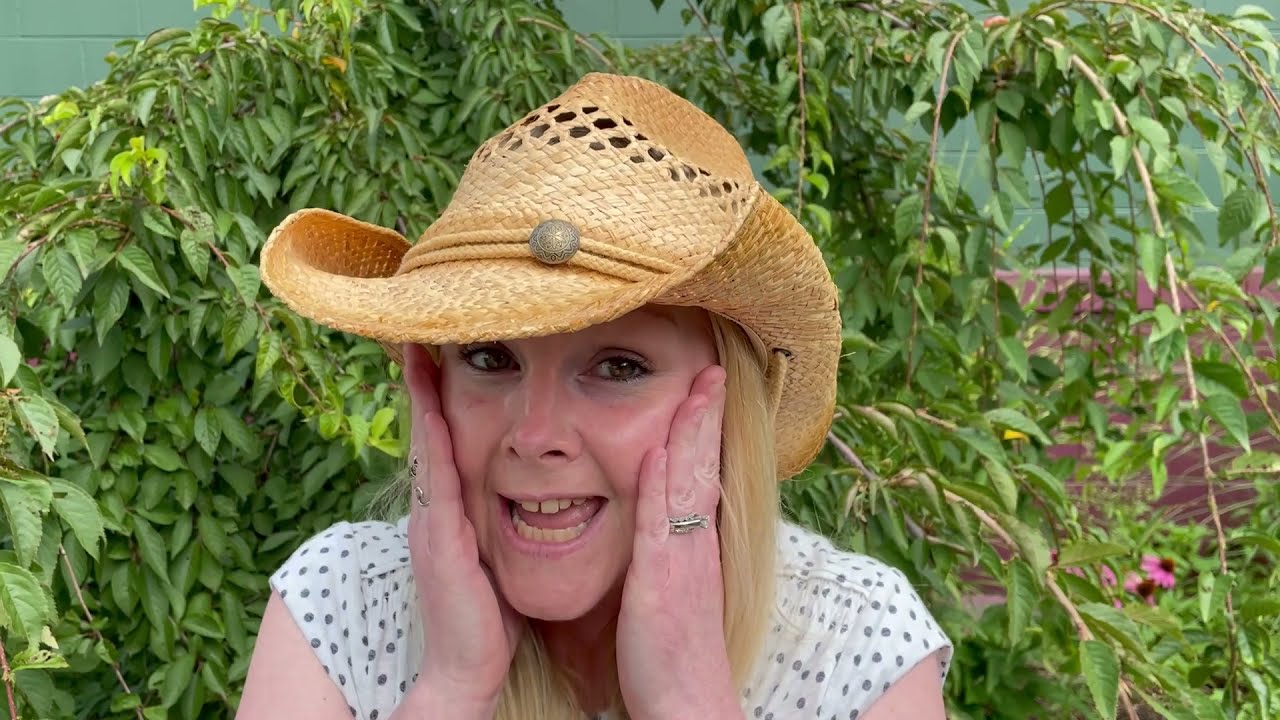 Samson Enhanced Ejector Rod for the Ruger Wrangler - High Noon (Comedy ...