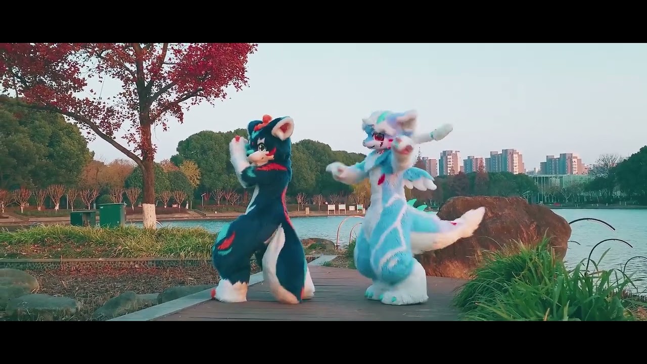 furry dance - YouTube