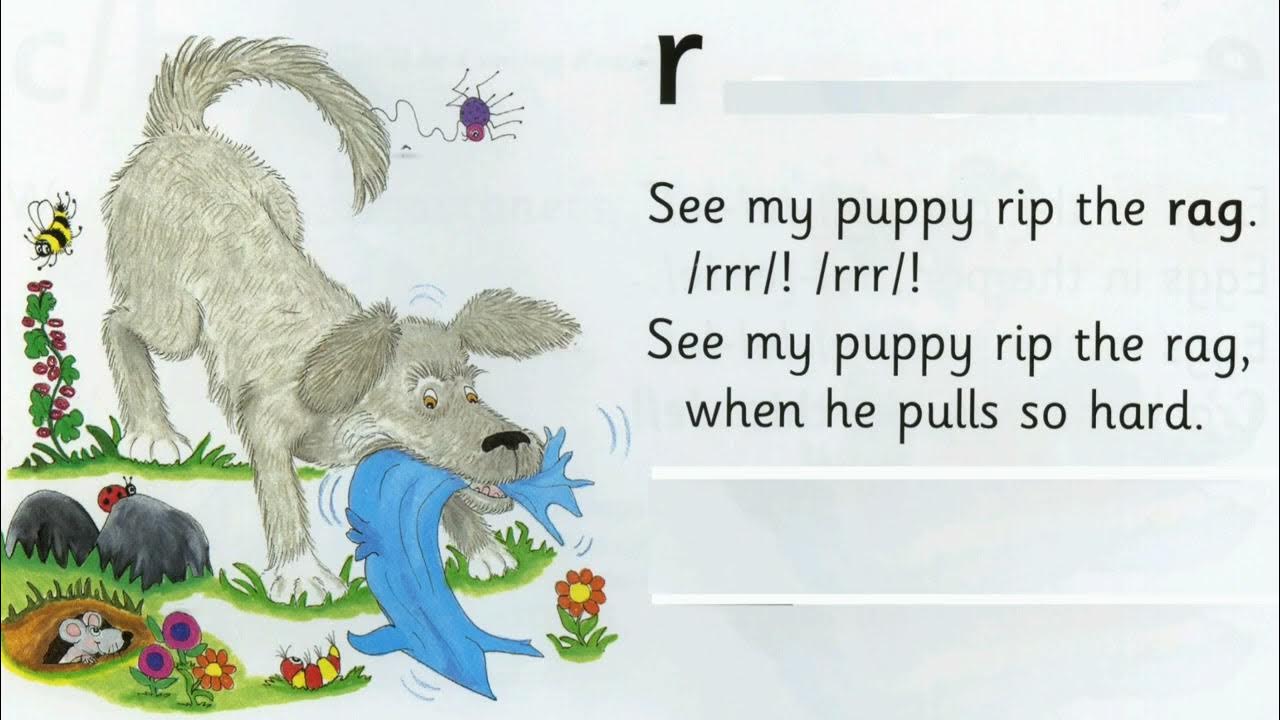 Jolly Phonics | Sing along with me in Alphabetical Order | a | a | ants ...