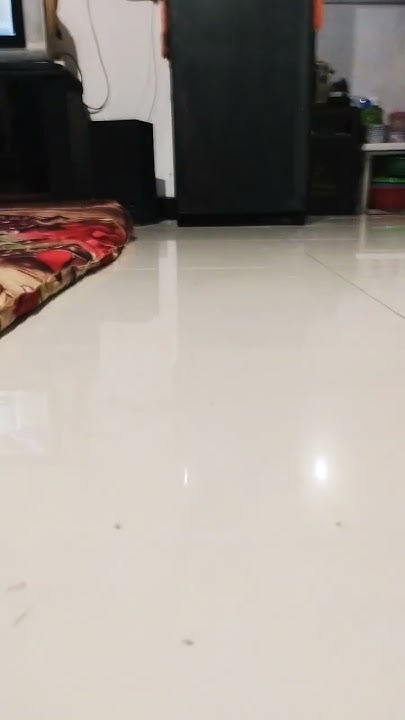 27 Juli 2024 - YouTube