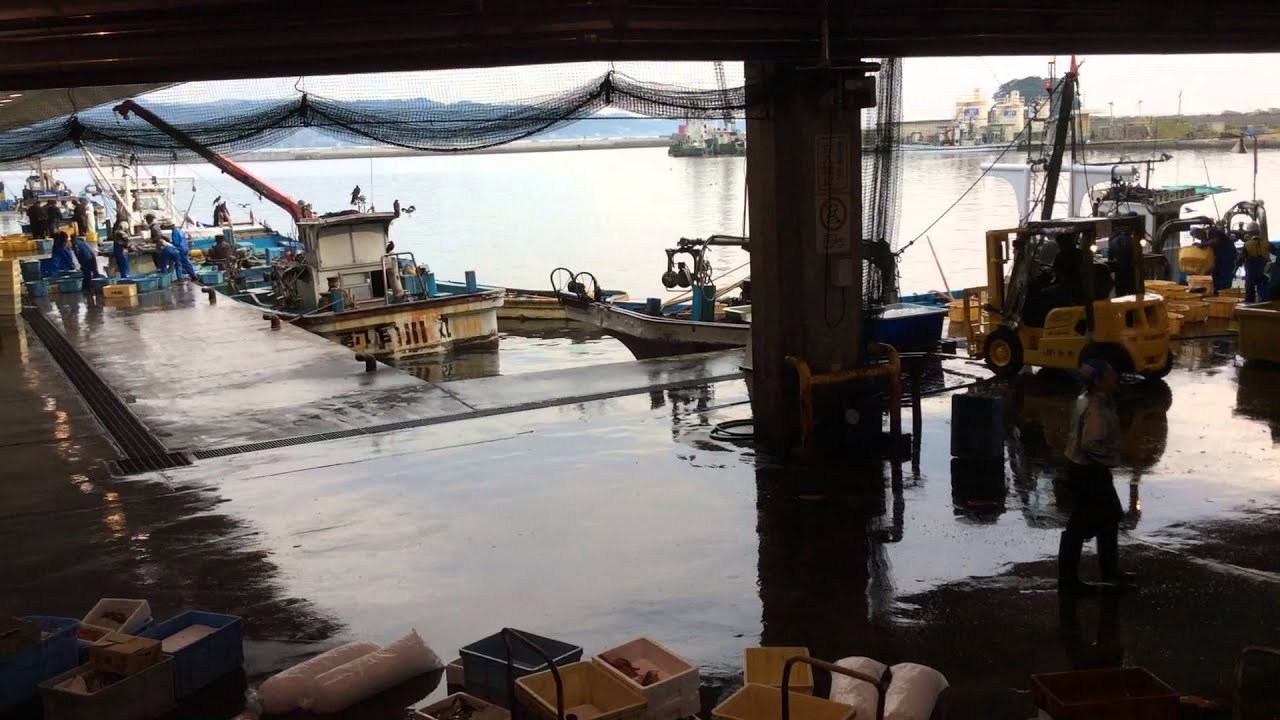 A Morning Market at Fisherman's Wharf of Himi Port, Toyama, Japan - YouTube