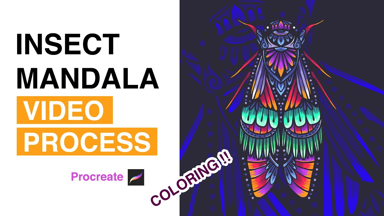 Insect Mandala Illustration | Coloring Process | IPAD TUTORIAL - YouTube