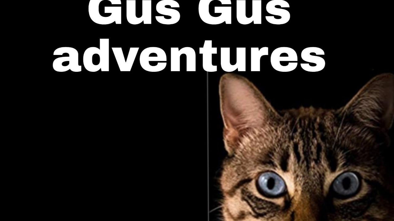 Gus Gus adventures pt 3 - YouTube