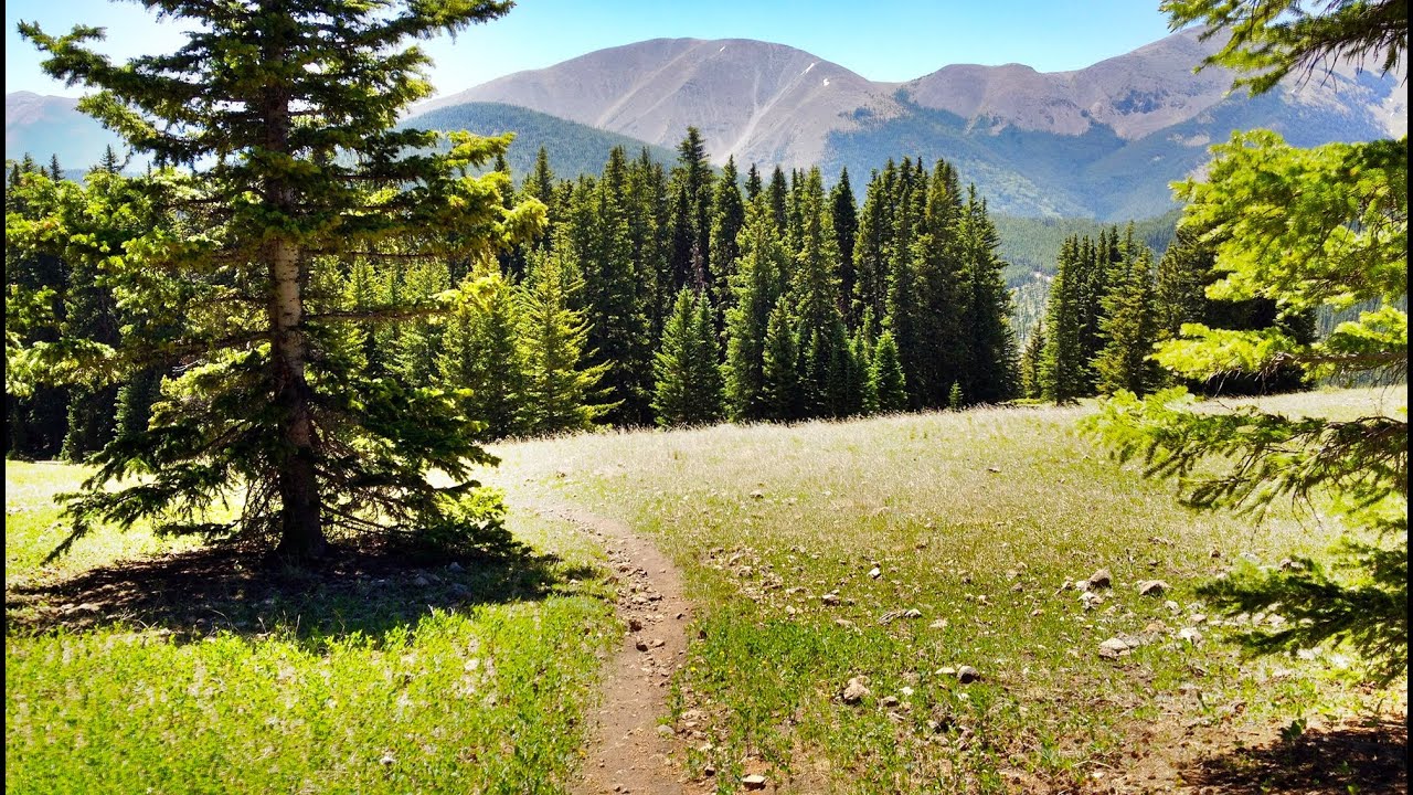 Monarch Crest Trail Mountain Biking | Colorado - YouTube