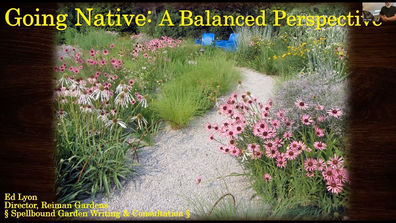 Going Native: A Balanced Perspective - YouTube