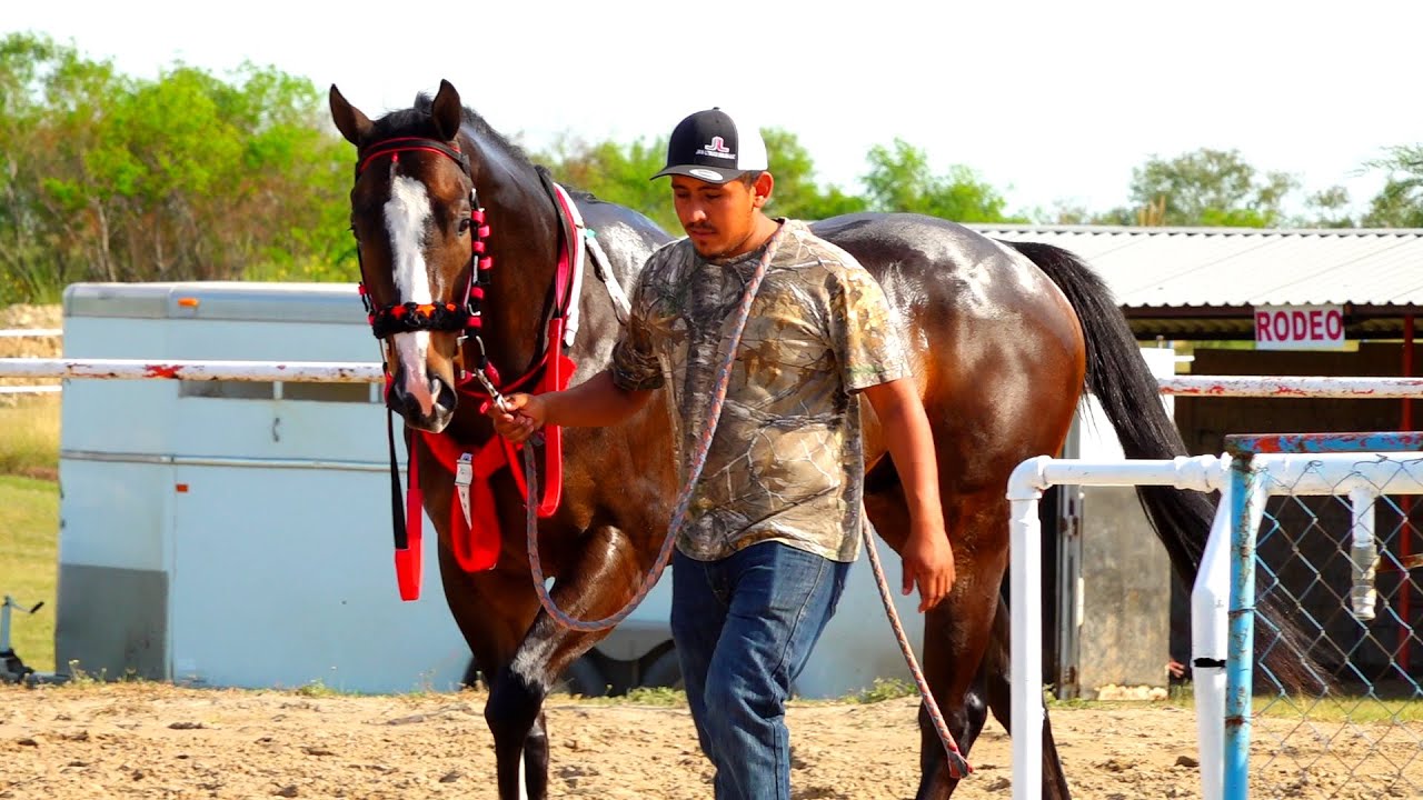 Futurity Servando Cano/ Hits # 13 y 14 - YouTube
