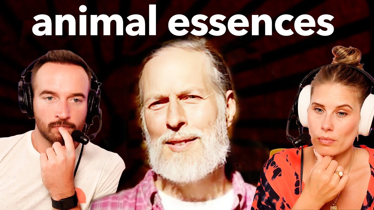 Wild Earth Animal Essences: How I Harness The Power of Animals // EP ...