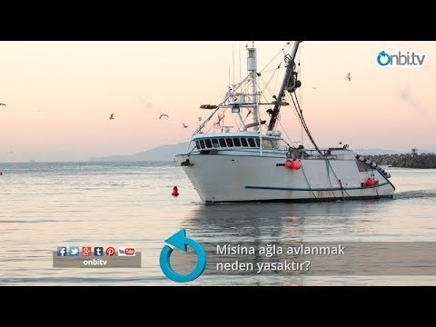 Misina ağla avlanmak neden yasaktır?