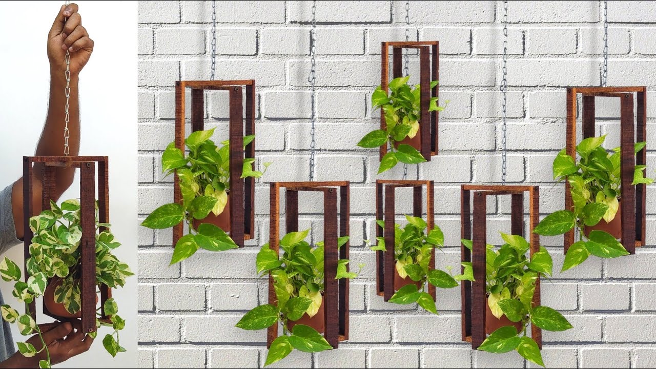 new style money plant hanging ideas / money plant growing / garden ...