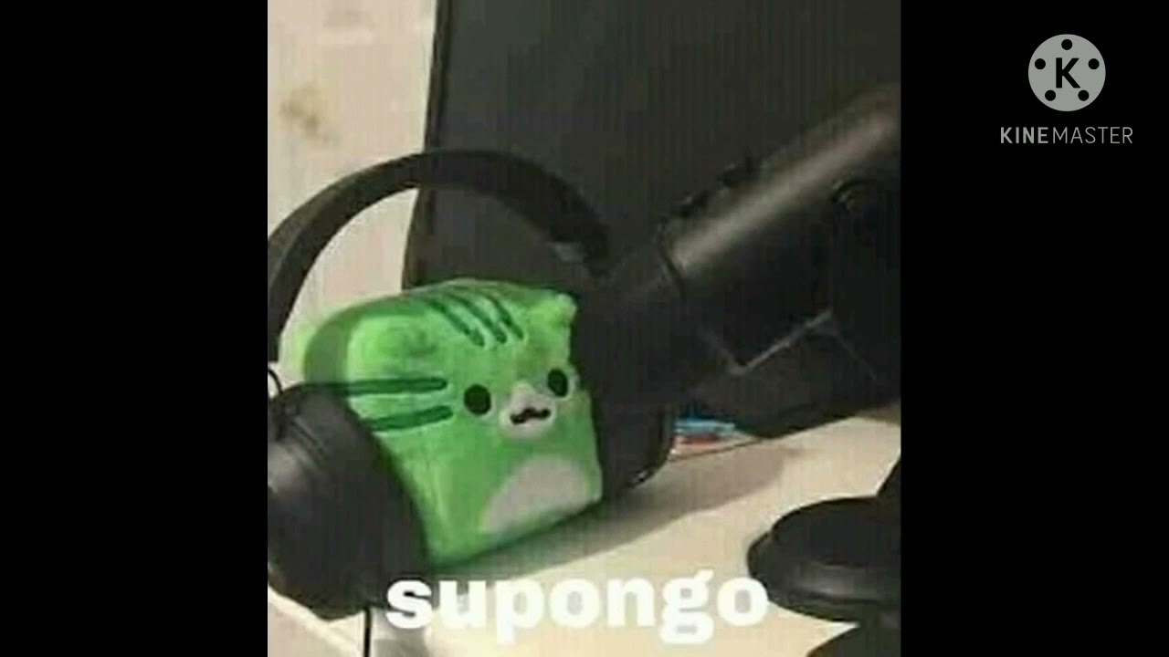 SUPONGO (Juniper Meme) - YouTube