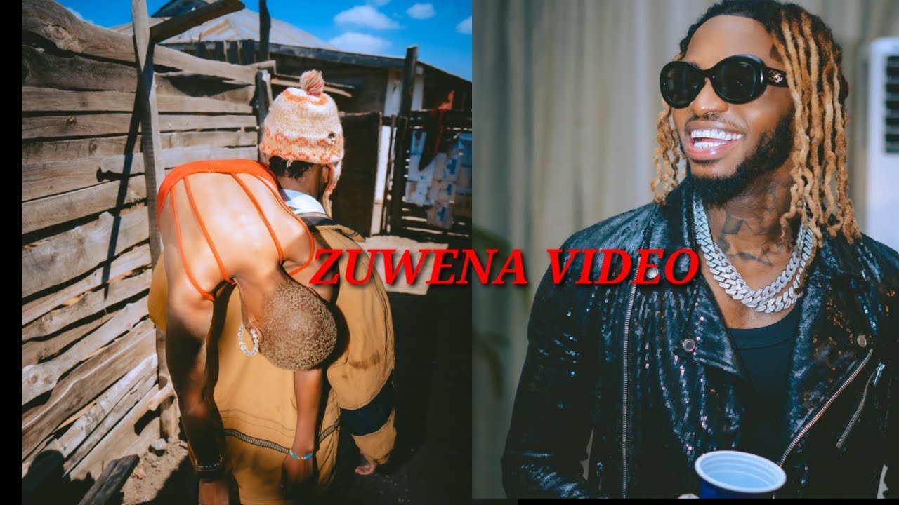 DIAMOND PLATNUMZ NEW SONG ZUWENA VIDEO HII HAPA - YouTube