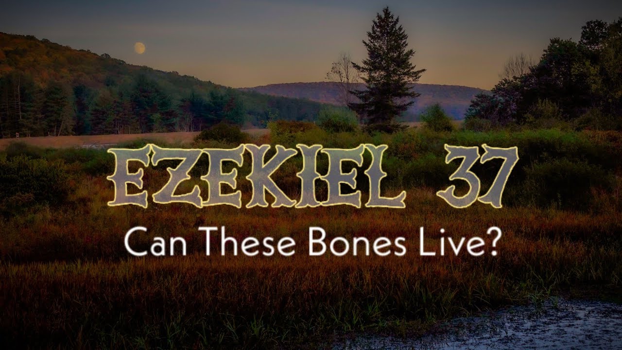 Can These Dry Bones Live? EZEKIEL 37 - YouTube