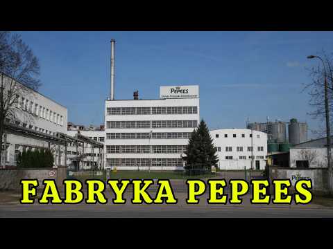 Wewnątrz PEPEES: fabryki ziemniaczane znikały mimo rosnącej produkcji żywności