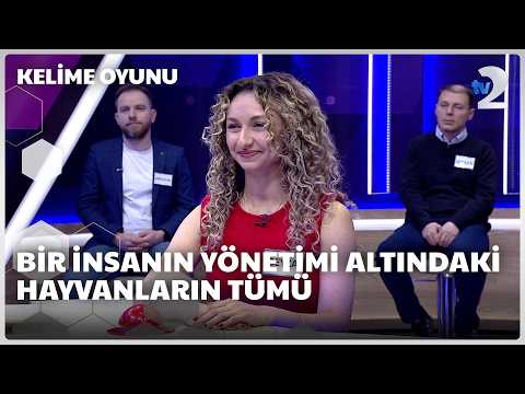 Bir insanın yönetimi altındaki hayvanların tümü | Kelime Oyunu