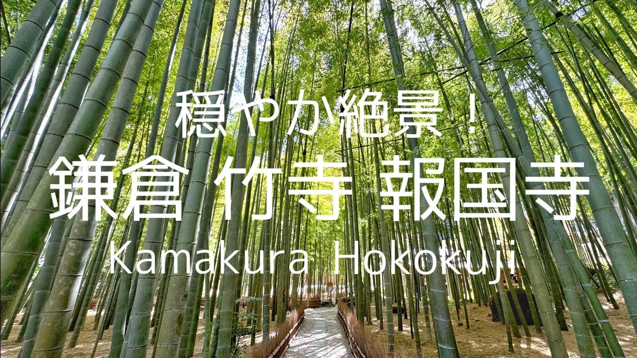 【穏やか絶景！】 竹寺 鎌倉の癒しスポット報国寺 Kamakura Hokokuji Bamboo Temple - YouTube